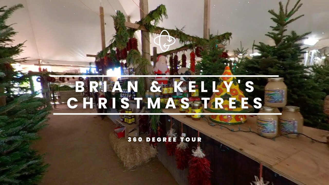 Brian & Kelly's Christmas Trees - 360 Degree Tour - YouTube