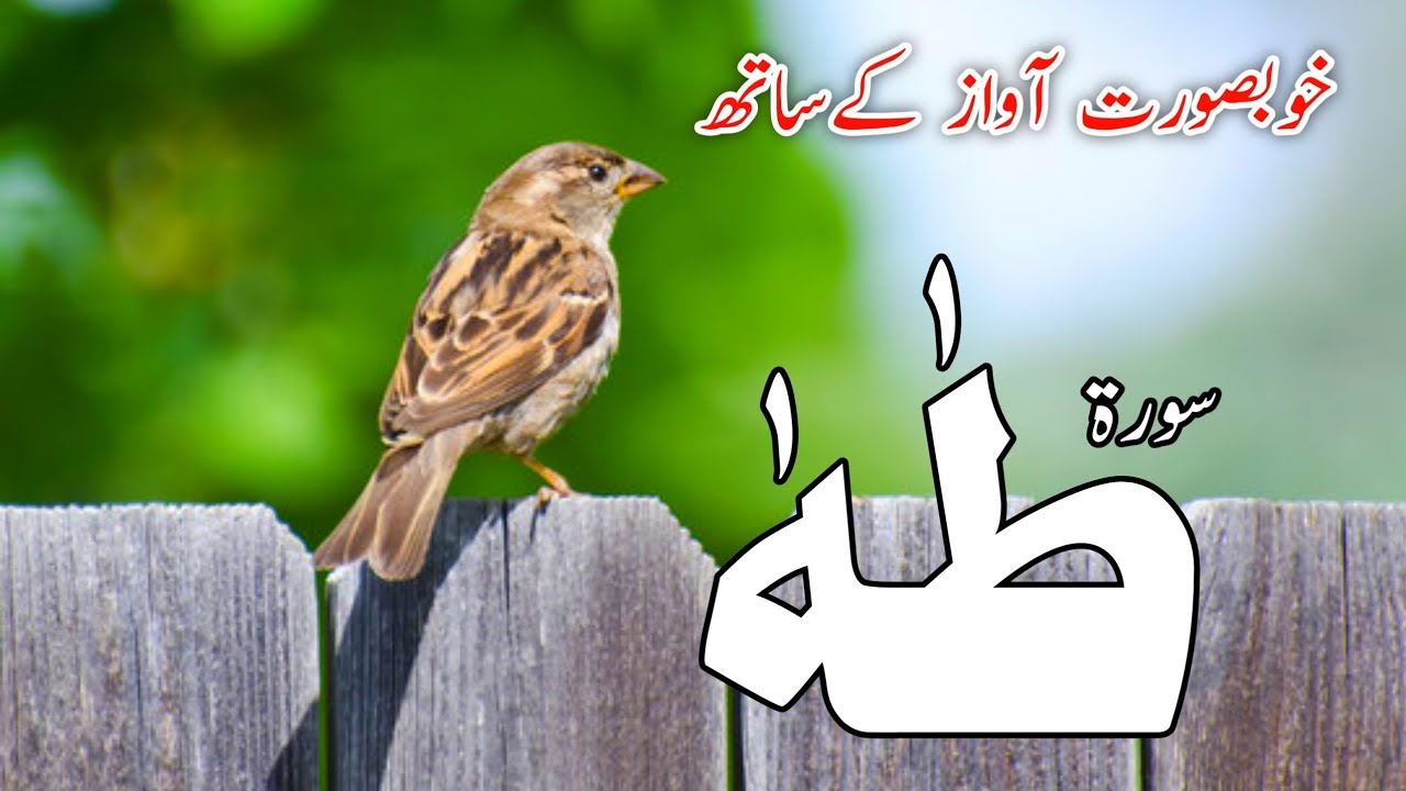 Surah Taha Beautiful Voice | Surah Taha Full Surah Recaition | Taha ...