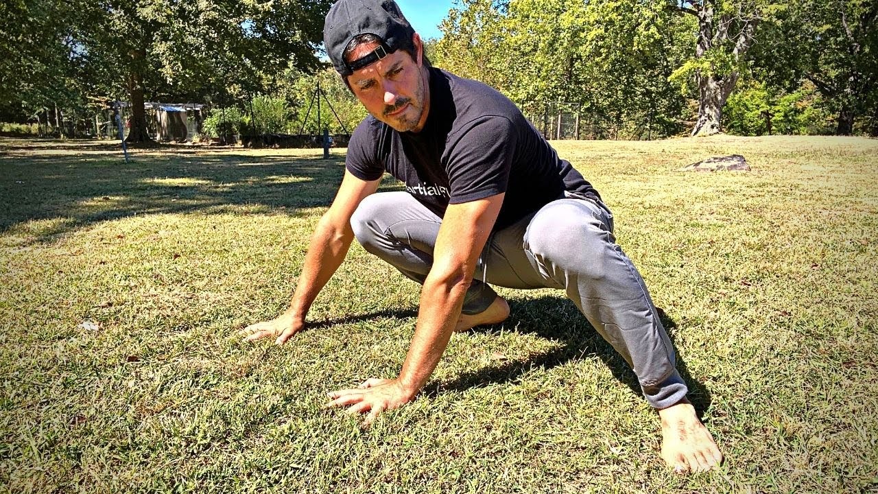 BEGINNER ANIMAL FLOW - Build Strength and Mobility at the same time ...