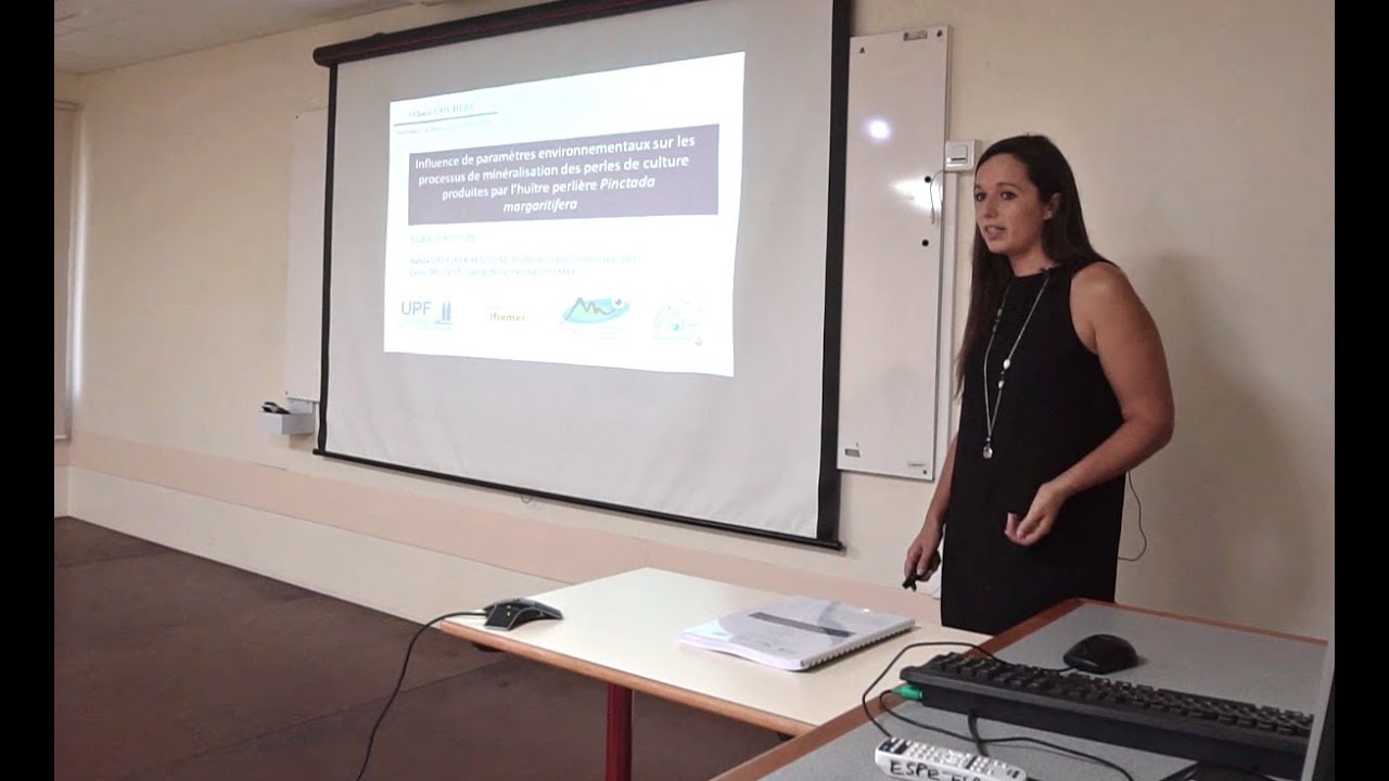 PDF exemple de presentation d'une soutenance devant un jury PDF ...