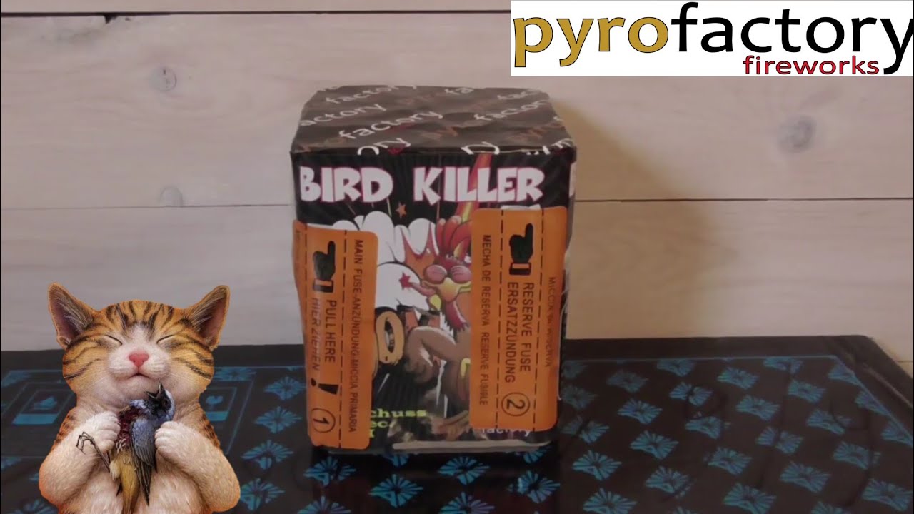 Pyrofactory Bird Killer/Uzi // TOP F2 Salut-Batterie - PyRo HD - YouTube