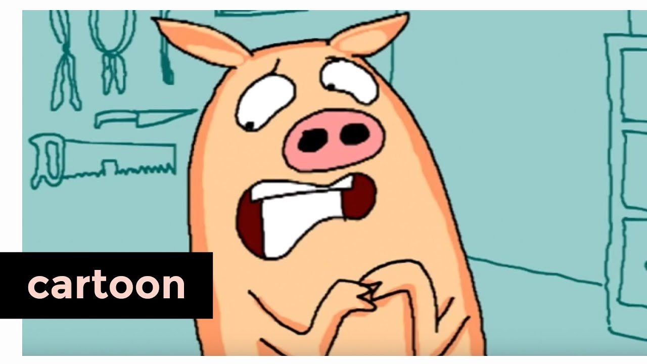 De verjaardag van Leo | Varkentje Rund - YouTube