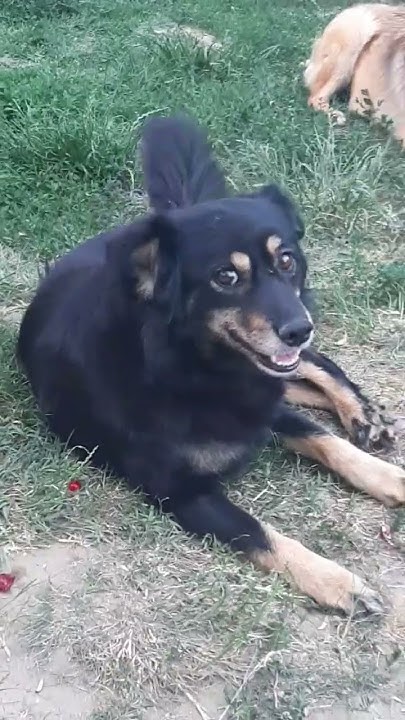 The three kingdoms from the east set the country in motion - YouTube