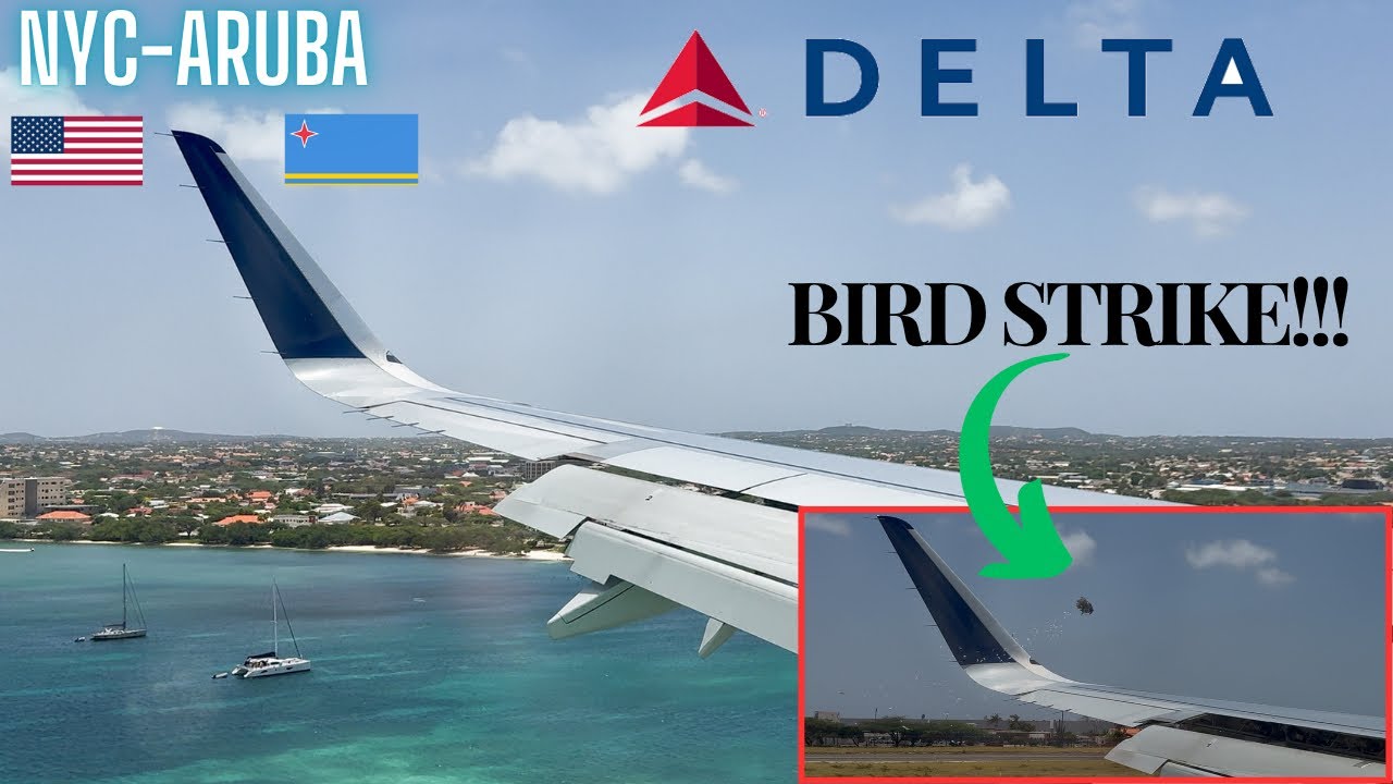 Awesome BIRD STRIKE landing at Aruba🇦🇼 | Delta Airliens A321 landing ...