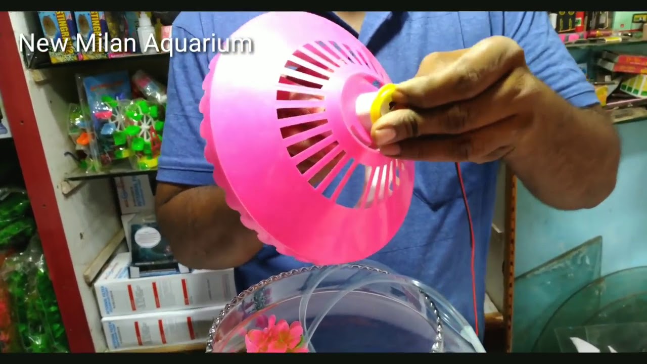 HOW TO: 3 GALLON FISH BOWL FULLY SET-UP & DECORATION..amazing - YouTube