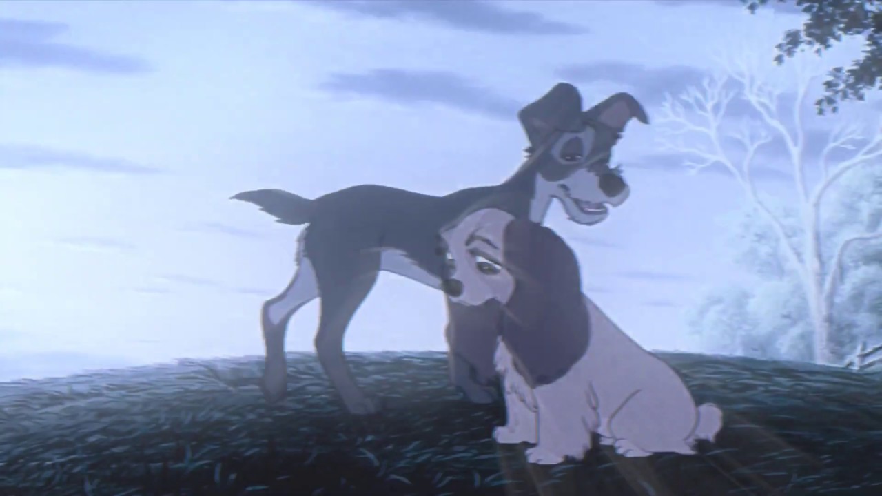 Lady&Tramp || Goodbye💔💔 - YouTube