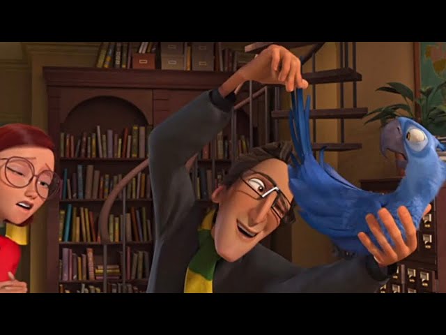 Rio Film Tulio 𝕵𝖊𝖋𝖋𝖊𝖗𝖘𝖔𝖓 (@jeefxnn)