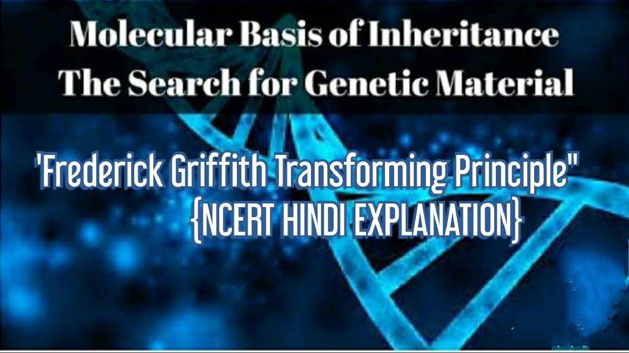 "Frederick Griffith Transforming Principle"|Class-12|CBSE|NCERT|Hindi ...