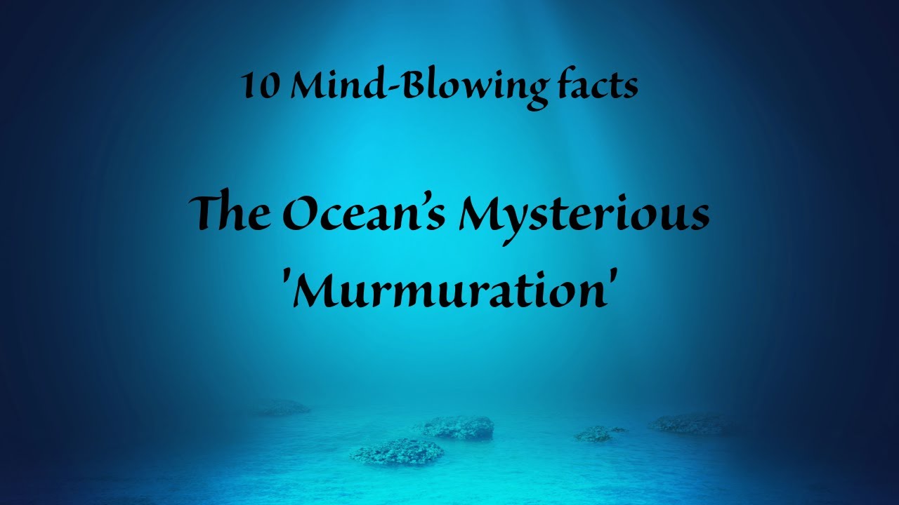 "10 Mind-Blowing Fish Murmuration's!" facts - YouTube