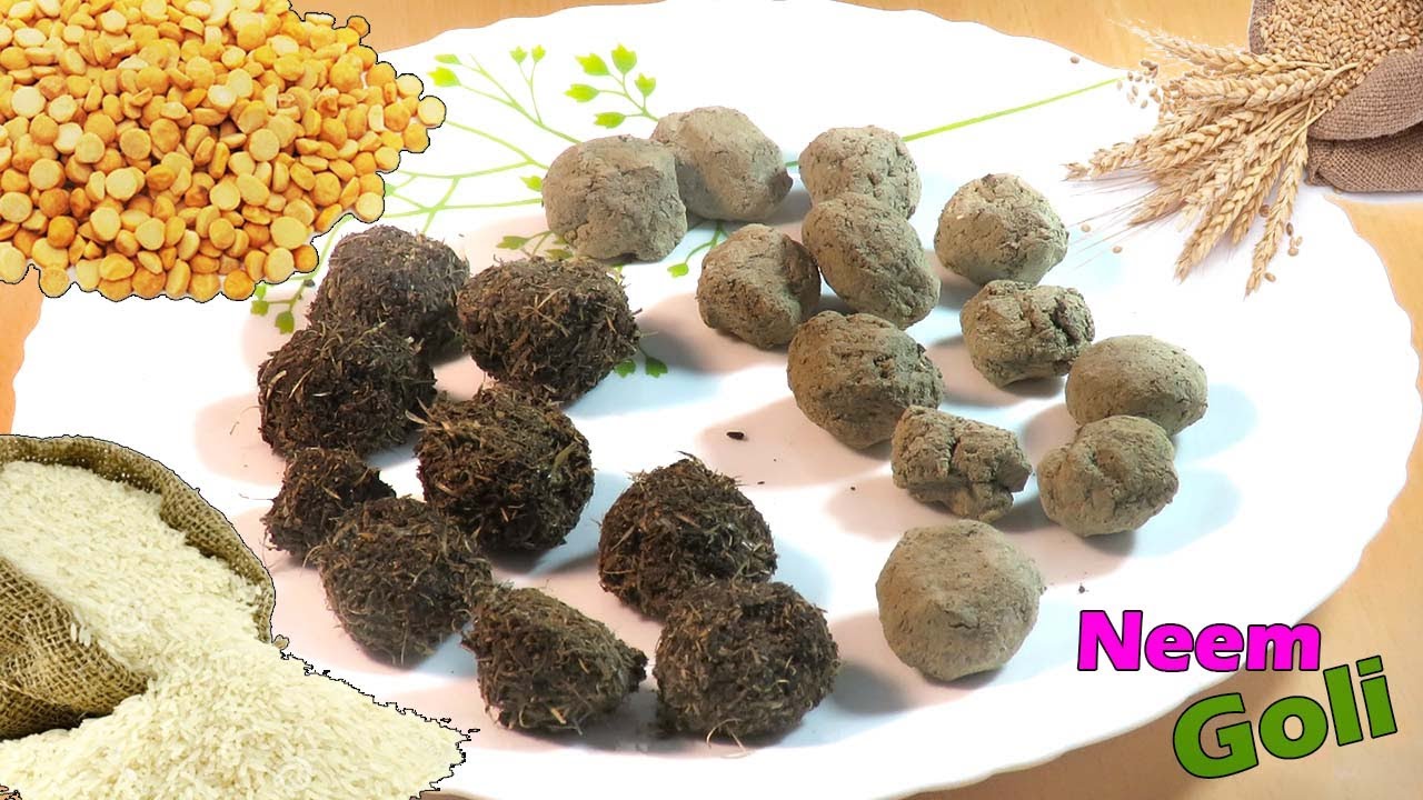 Neem Ki Goli | दाल, चावल और गेंहू को कीड़ो से बचाने के लिए ये तरीका ...
