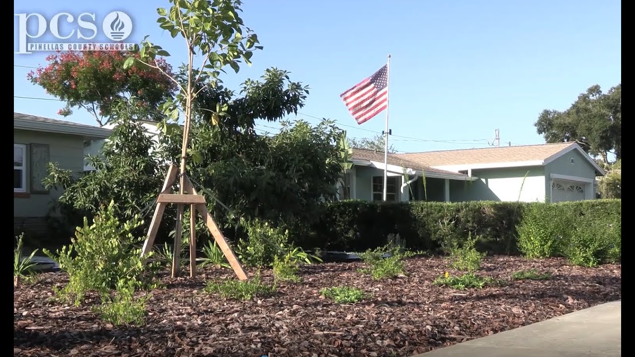 How Florida Friendly Landscaping Saves Water! - YouTube