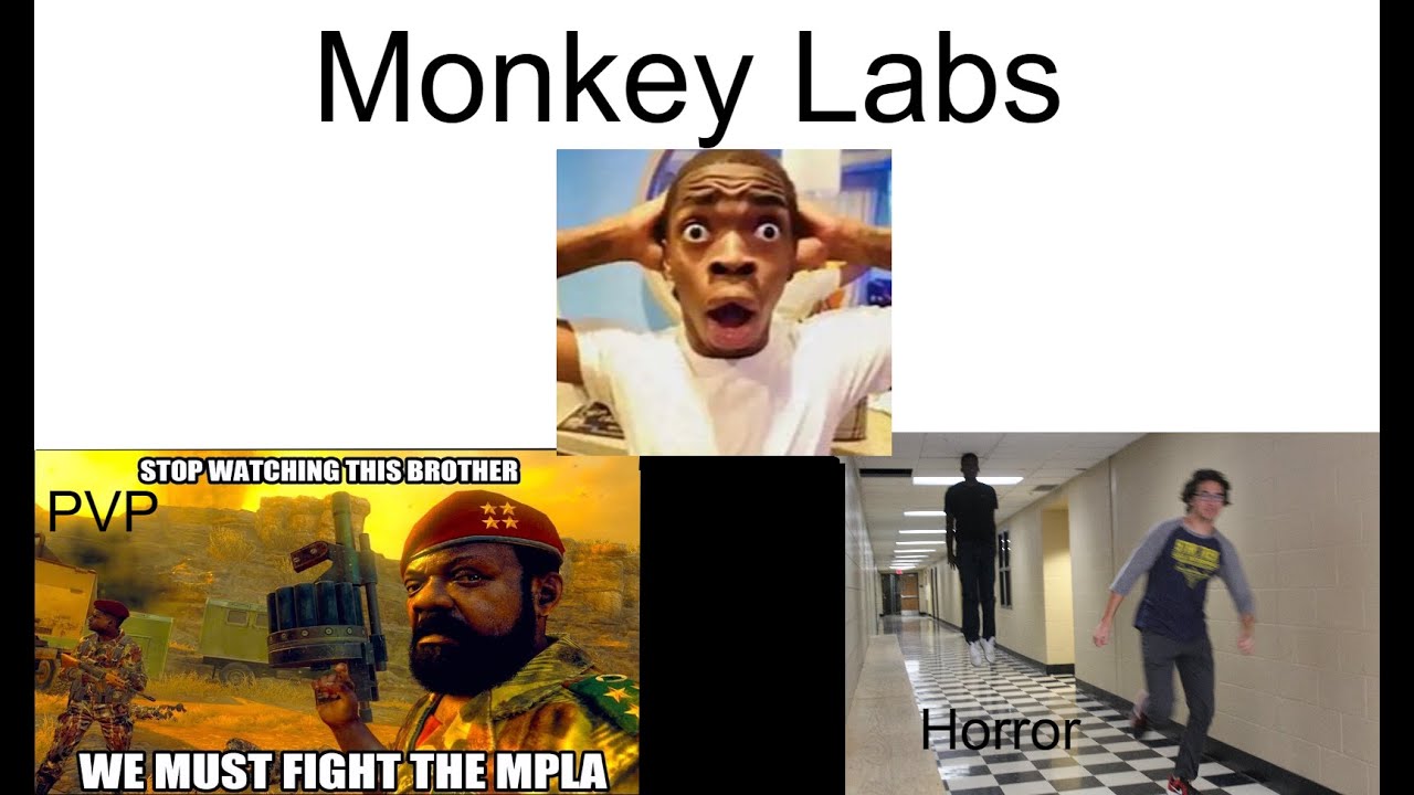 What is Monkey Labs? - YouTube