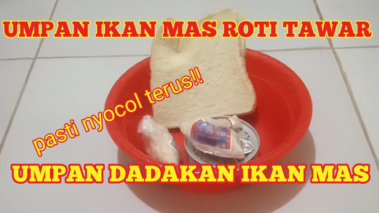 UMPAN IKAN MAS ROTI TAWAR//Umpan dadakan - YouTube