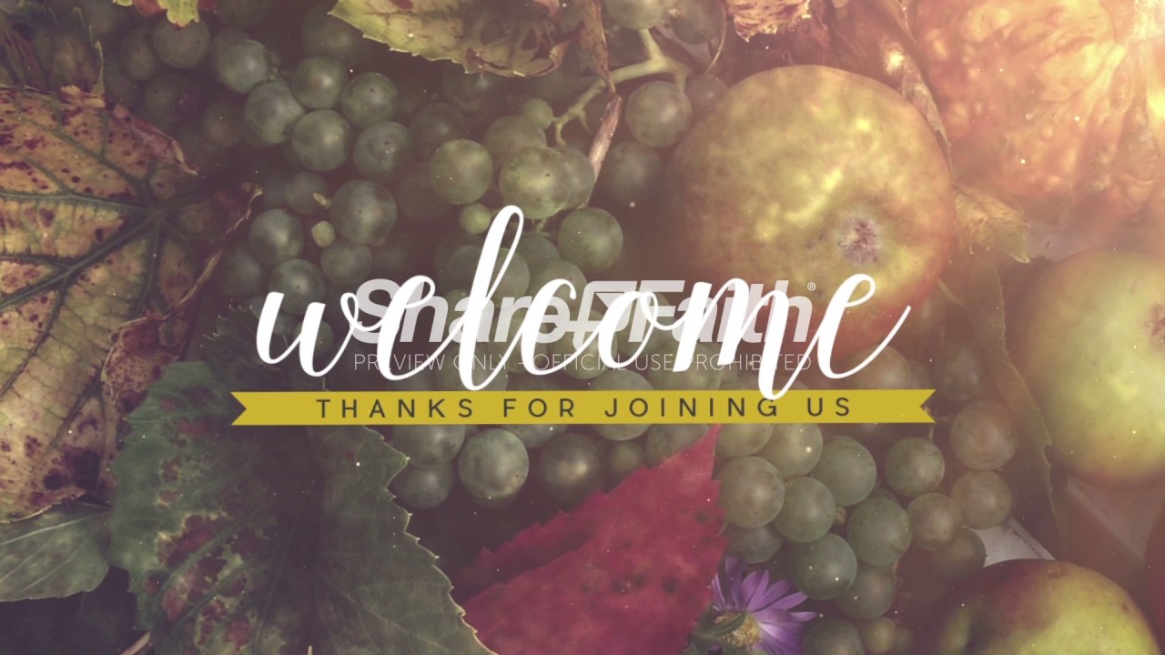 Thanksgiving Backgrounds: Happy Thanksgiving Welcome Video Loop - YouTube