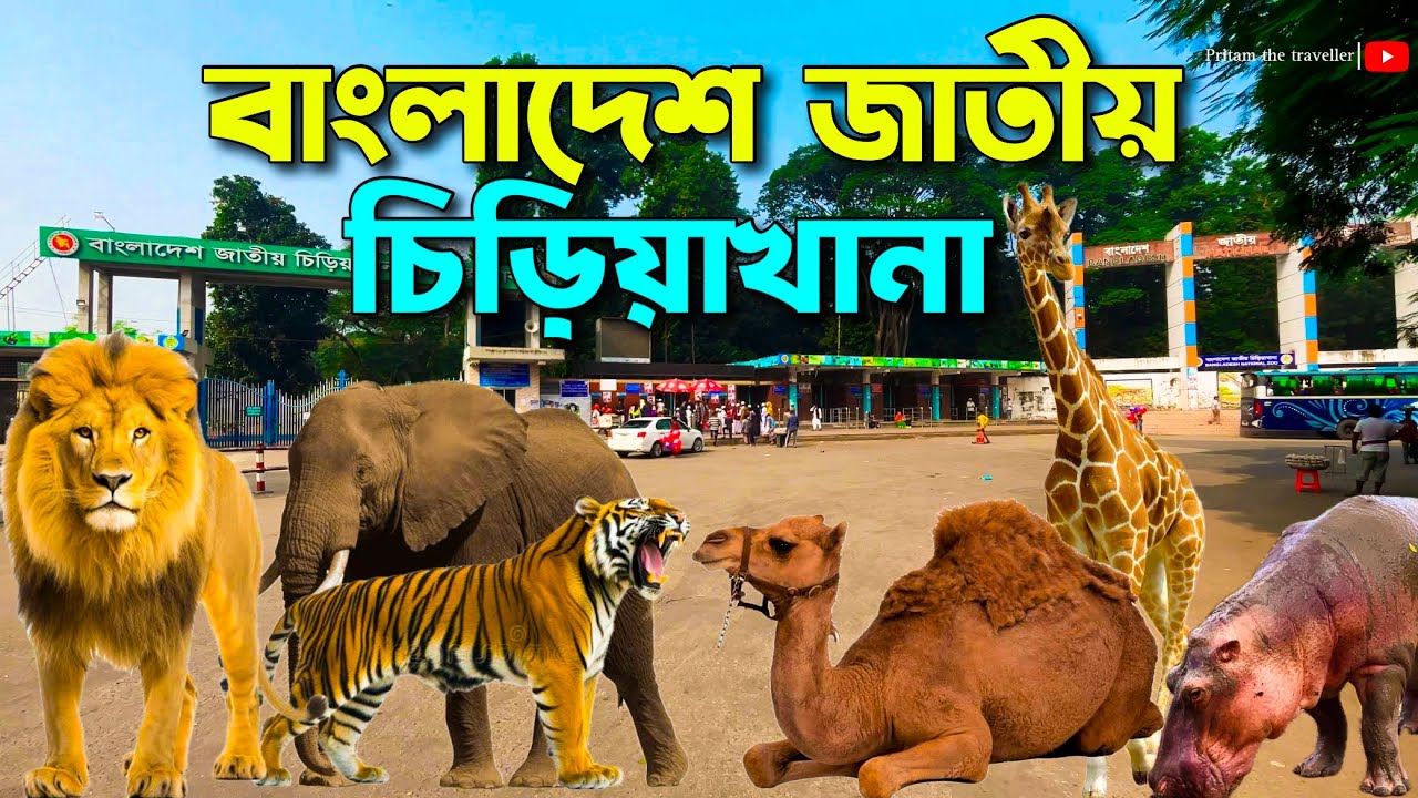 বাংলাদেশ জাতীয় চিড়িয়াখানা, মিরপুর, ঢাকা। Bangladesh National Zoo, Mirpur, Dhaka - YouTube