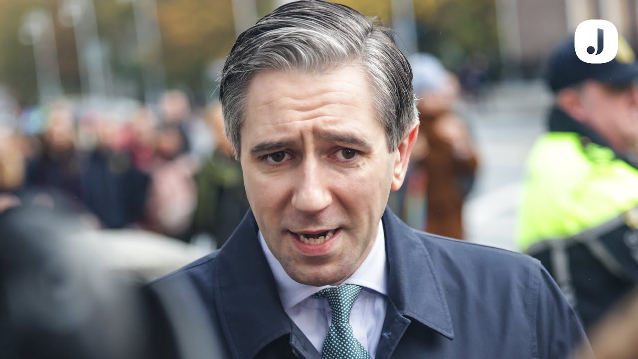 Simon Harris annoyed FG got heat over 'smear the bejaysus' when it was ...