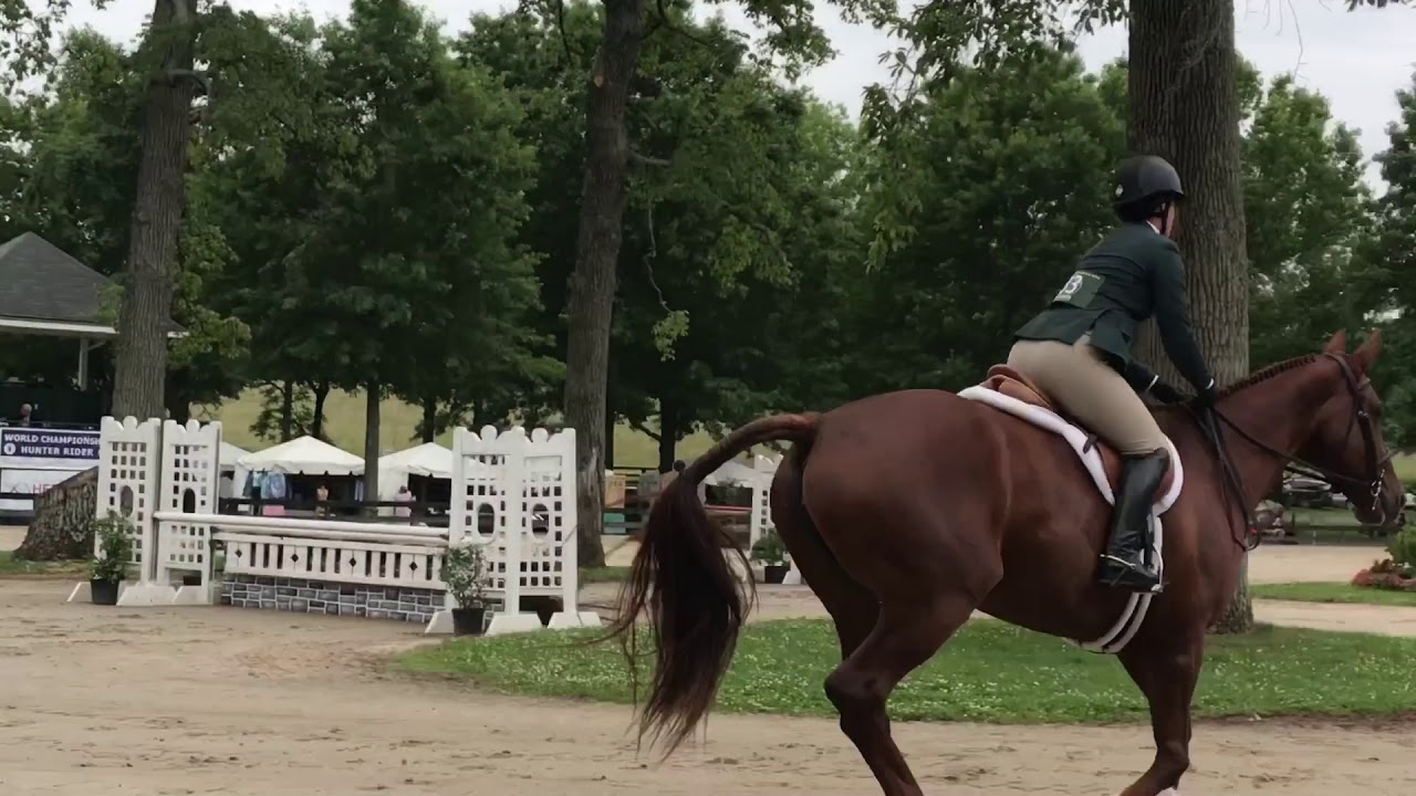 Upperville 3’3 AOs Handy Hunter - YouTube