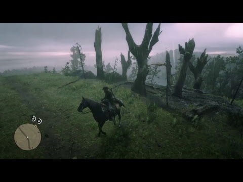 RDR2 - Trail Trees ? - YouTube