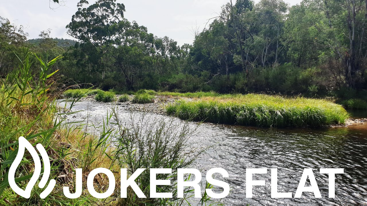 Jokers Flat Campground - Alpine National Park, Victoria - YouTube
