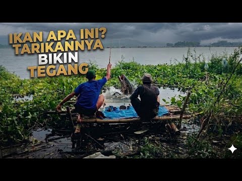 TARIKANNYA BIKIN TEGANG ‼️SAMBARAN IKAN BESAR PENGHUNI SARANG KUNTILANAK | fishing & cooking