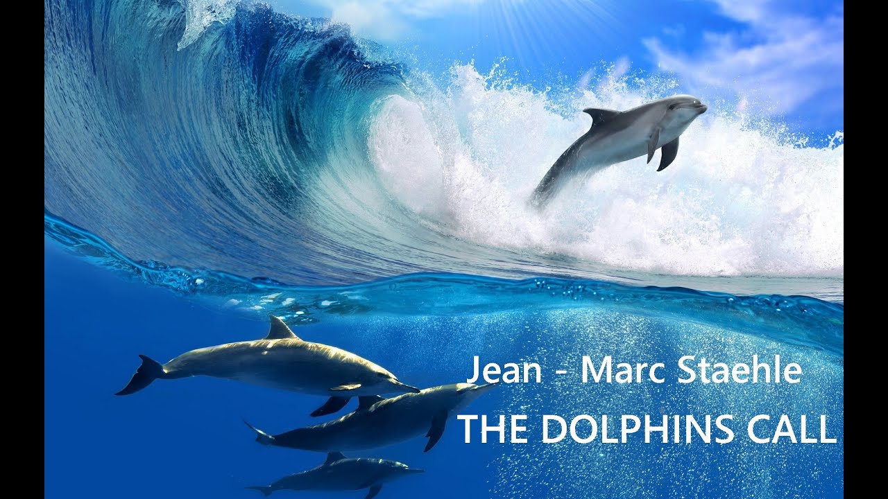 🐬 THE DOLPHINS CALL - Jean - Marc Staehle 🐬 - YouTube