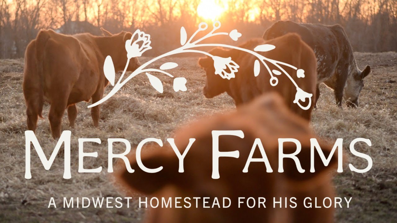 What We Raise On Mercy Farms - YouTube