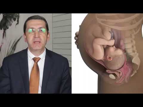 Hamileler ve Emziren Anneler Omega 3 Kullanmalı mı  Prof. Dr. Mahmut İlker YILMAZ
