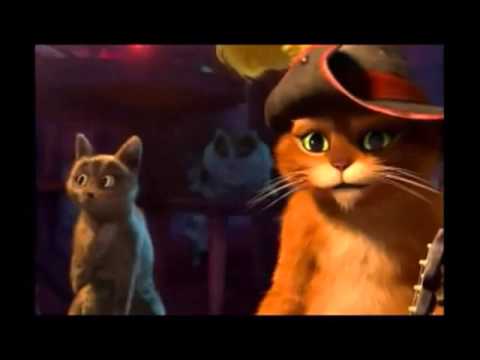 El Gato "UUUU" sorprendido!!! xD - YouTube