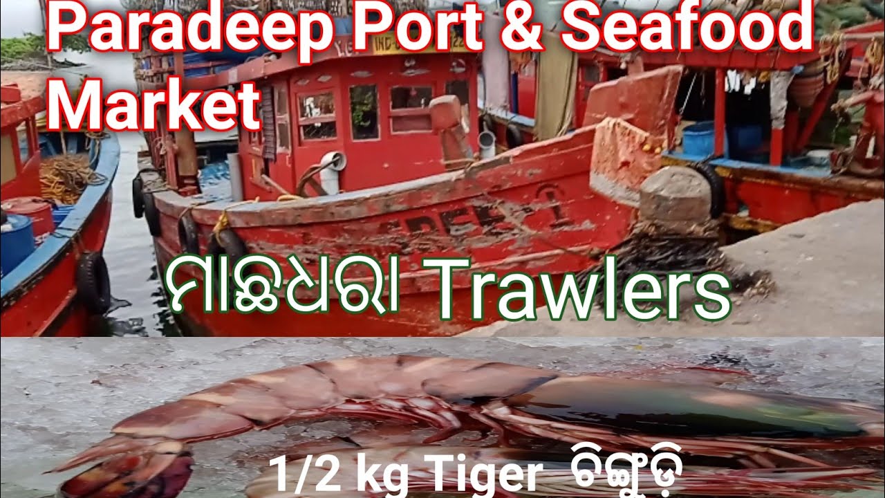 Paradeep Port, Fishing Trawlers & Seafood export market - YouTube