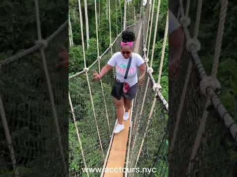 Welcome to KAKUM NATIONAL PARK in CAPE COAST- Day Trip from Cape Coast ...