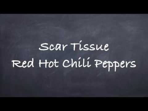 Scar Tissue-Red Hot Chili Peppers Lyrics - YouTube
