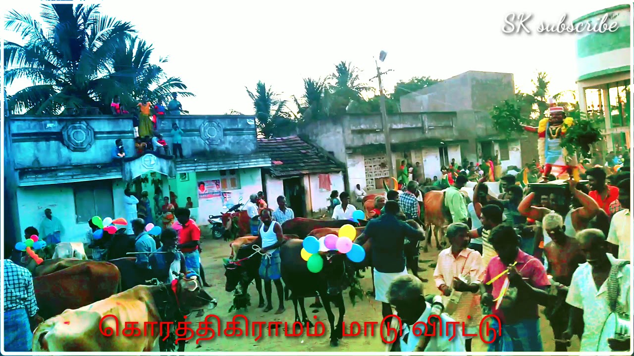 மாடு விரட்டு கொரத்திகிராமம் and korathi maanagaram - YouTube