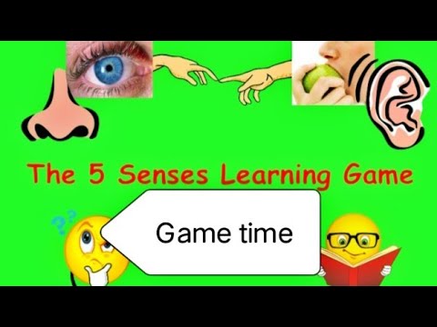 sense organs game for kids।। 5 sense organs and their function।। sense ...
