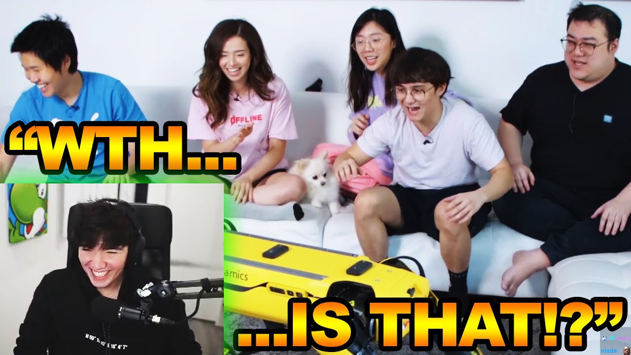 Masayoshi(John) Reacts To ROBODOG JOINS OFFLINETV - YouTube