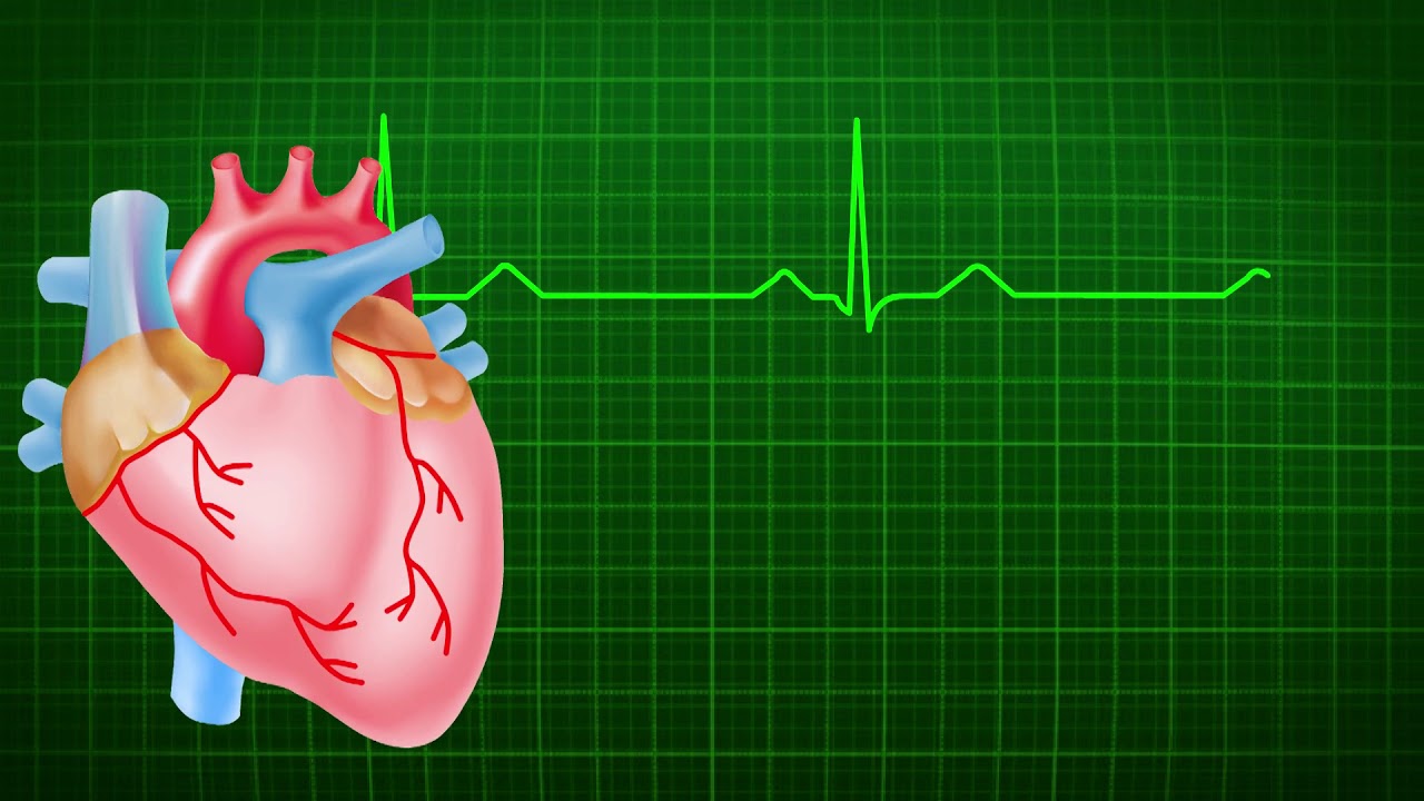 Electrocardiogram measurements/heart beat measurements with the help of ...