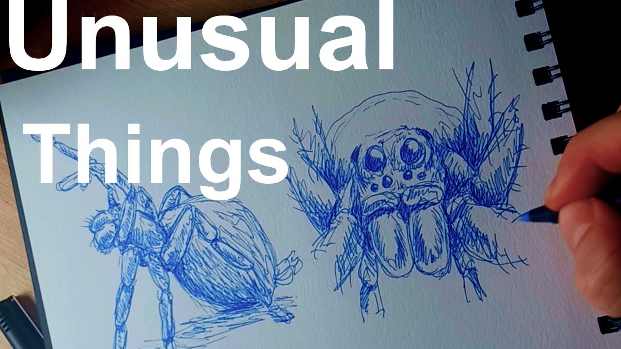 Dare To Draw Unusual Things | Sketchbook Session - YouTube