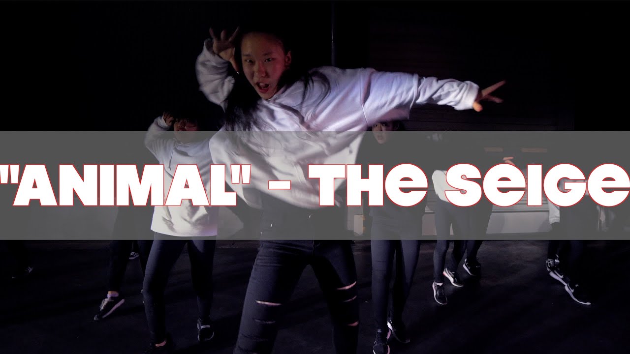 Chibi Chibi Unity - Yui & Nanase Number "Animal"-The Seige - YouTube