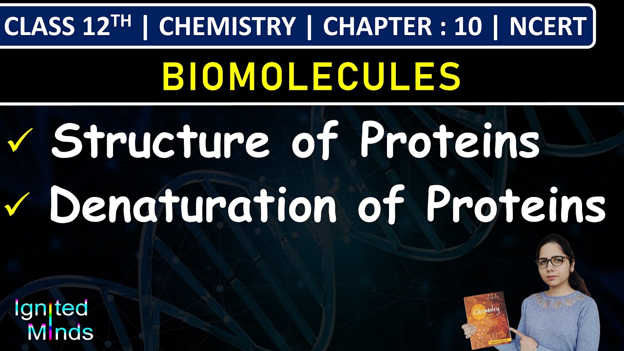 Class 12th Chemistry | Structure of Proteins | Denaturation of Proteins ...