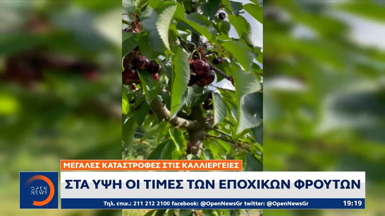 Στα ύψη οι τιμές των εποχικών φρούτων - Μεγάλες καταστροφές στις ...