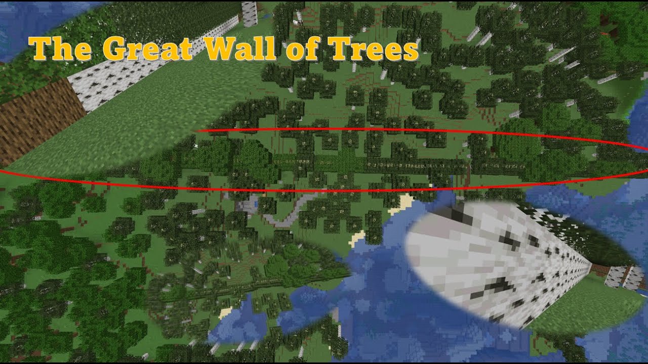 The Great Wall of Trees - YouTube