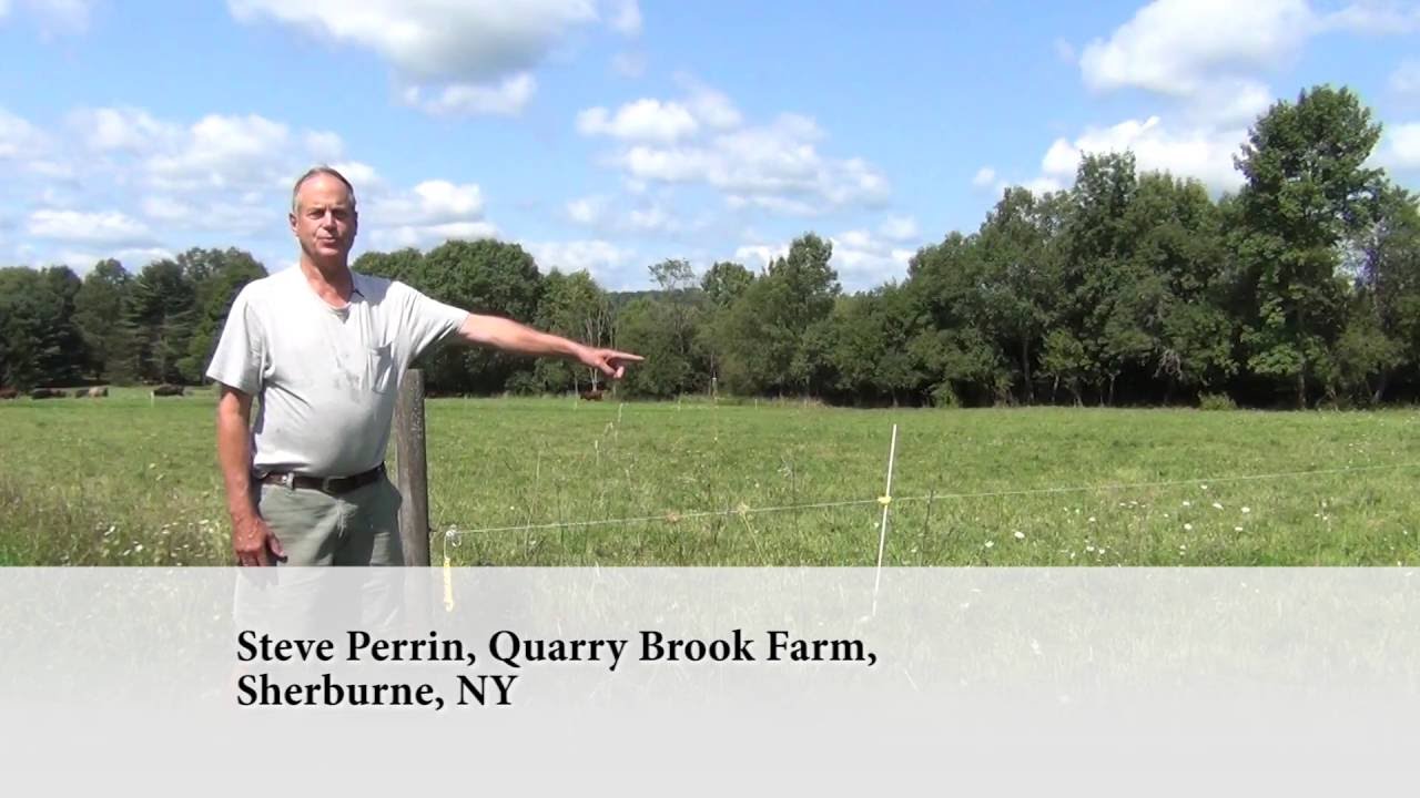Grasstravaganza Reflections: Quarry Brook Farms - YouTube