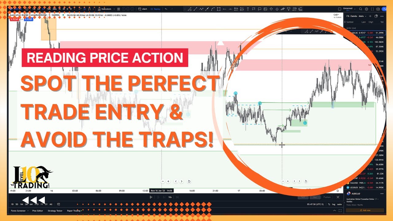 The Art of Reading Price Action: Spotting the Perfect Trade Entry and ...