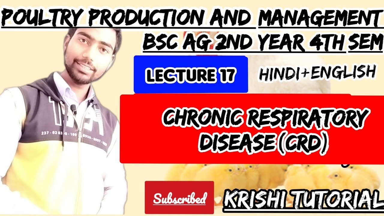CRD | Chronic Respiratory Disease | Common Poultry Disease | Lecture 17 ...