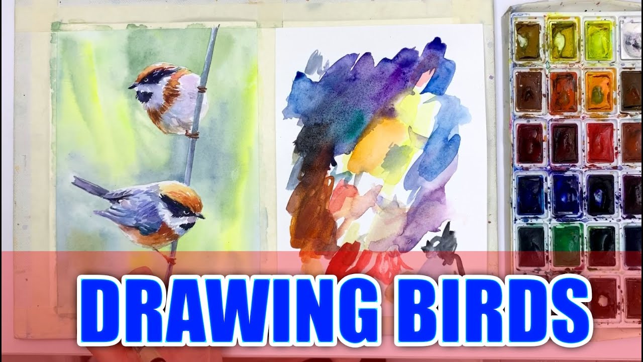 How to draw beautiful birds / step by step / Part 1 - YouTube