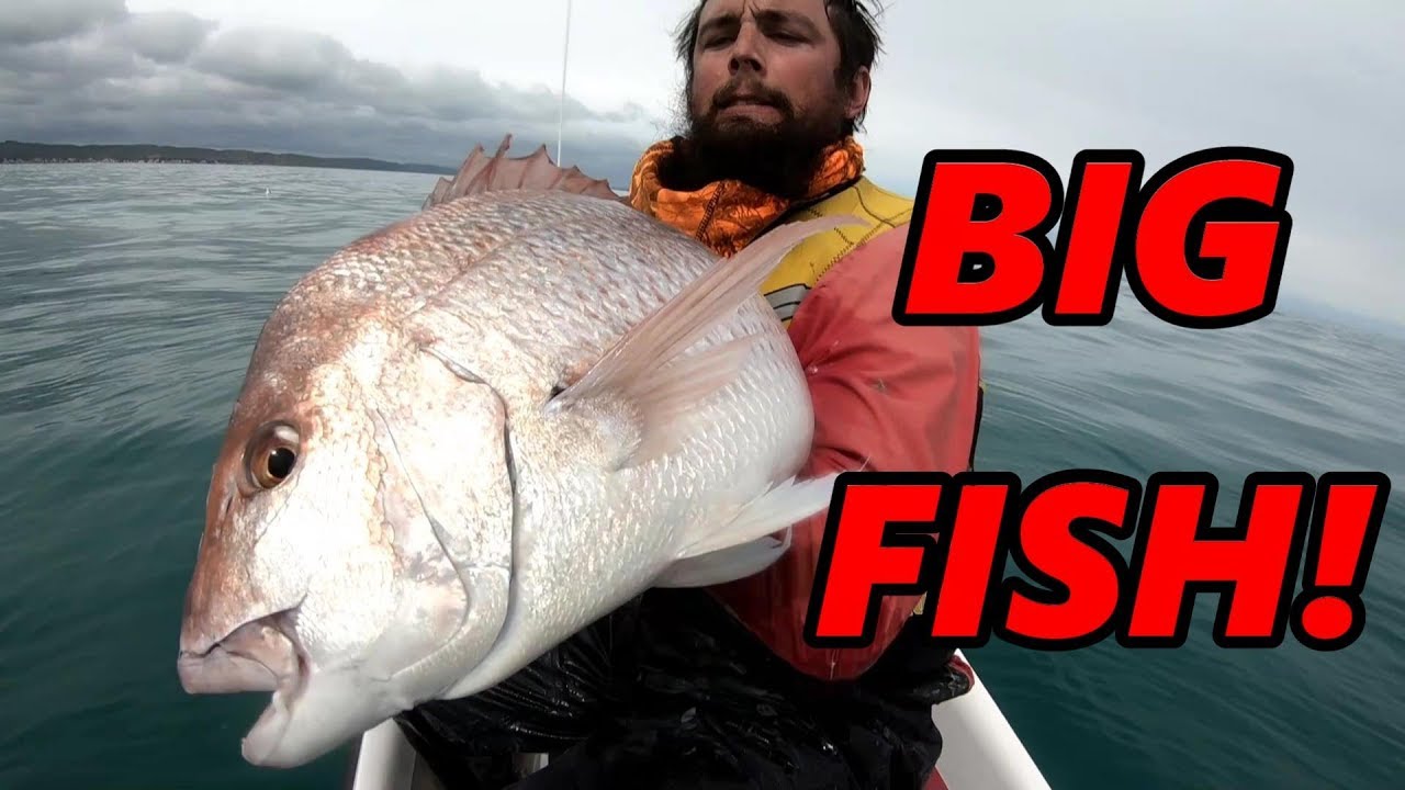 Catching BIG fish on the wild west coast! Mavic Air test - YouTube