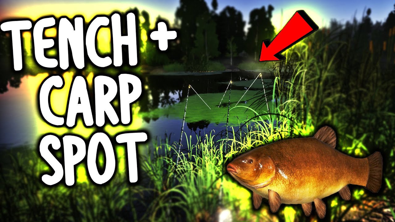 TENCH & CARP SPOT FOR LOW LEVELS OLD BURG | Russian Fishing 4 - YouTube