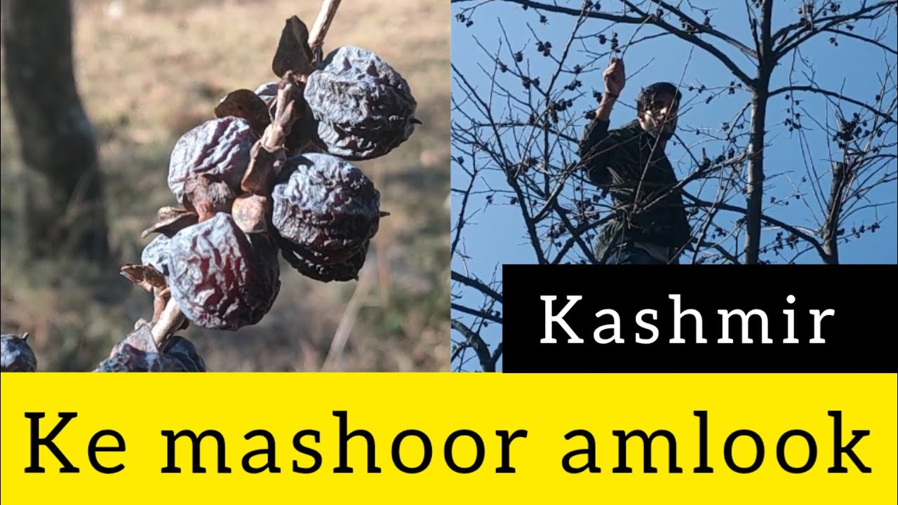 KASHMIR||Kay Amlook bohat aalla - YouTube