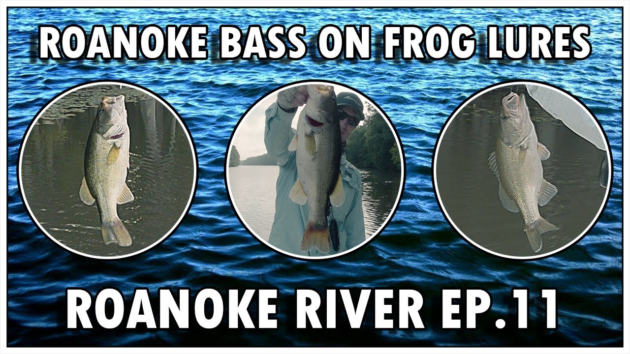 Roanoke Bass On Frog Lures - Roanoke River | Episode 11 - YouTube