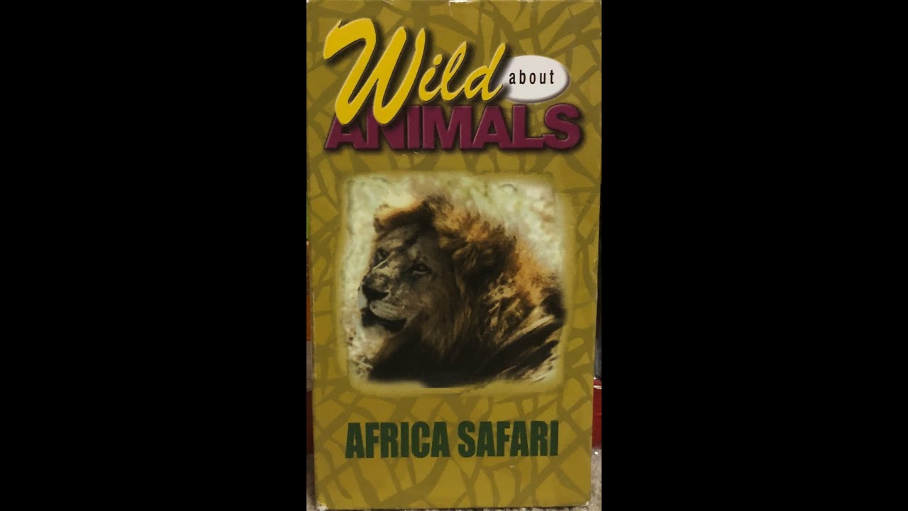 Wild about Animals: Africa Safari (2002 VHS) - YouTube