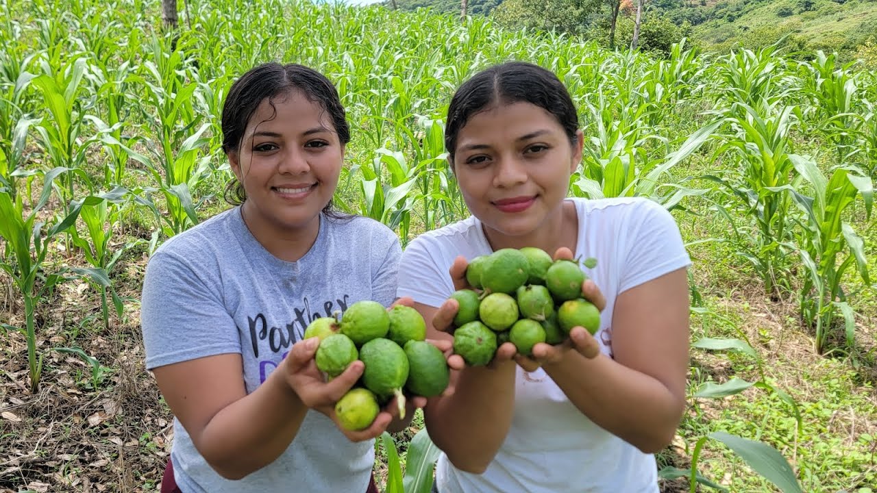 🥰vean cuantos limones y guayaba encontraron estas chicas 🤗🤗 / CHICAS ...